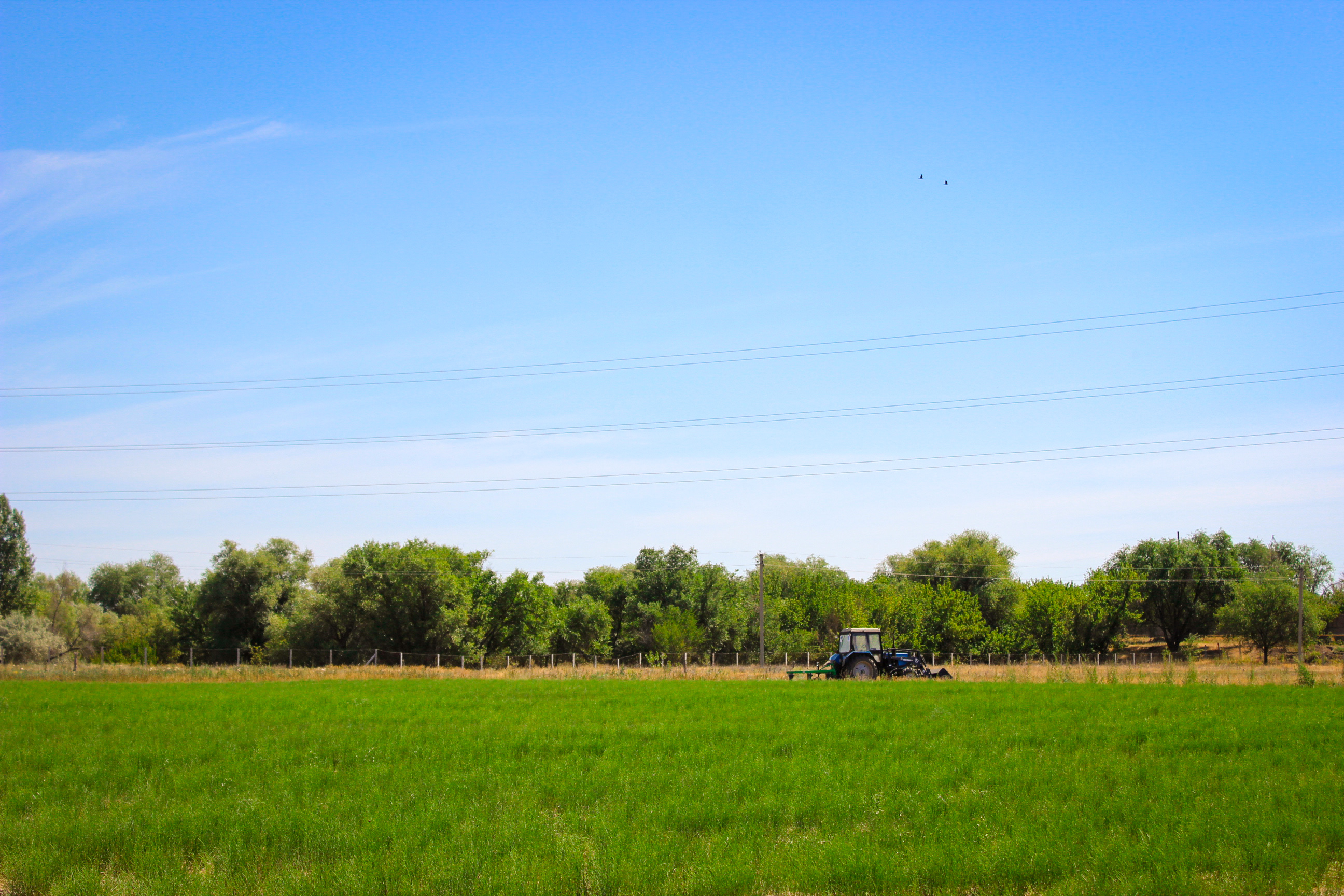 Green investments in agriculture – boon for the environment | United ...